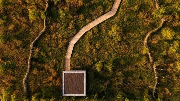 Schlössla - Stilt Treehouse Im Waldmehr - Bavière