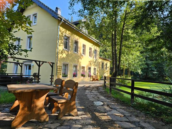 Ferienwohnung Schwarzmühle 3 - Olbernhau