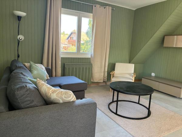 Fully Renovated Quiet Home Near Basel, Alsace & Black Forest - Canton de Jura