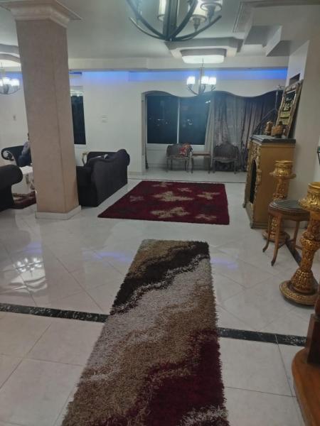 شقة فندقيه على النيل دوبلكس روعه - Kairó