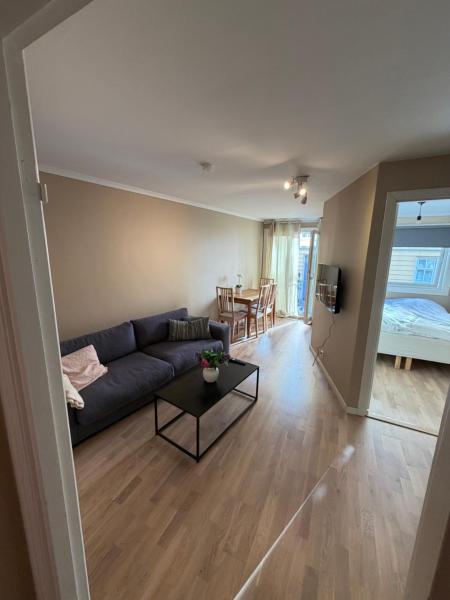 Cozy Apartment Near The Royal Palace - Oslo