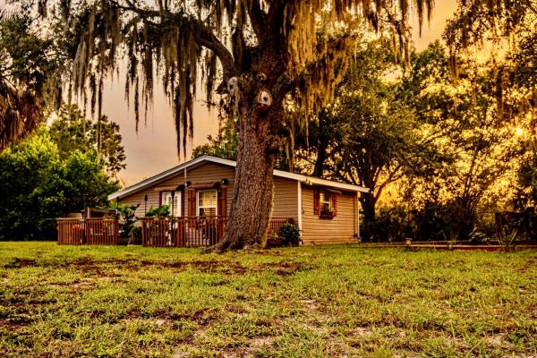 The Lake Alfred Citruswood Cabin - Florida