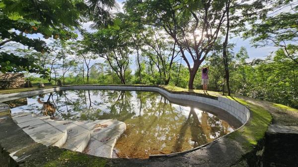 Mahamudra Forest Farm, Private Luxury Wellness Sanctuary - Gujarat