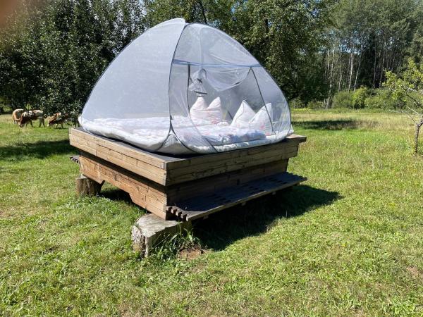 Wiesenbett Unterm Nachthimmel - Bischofsmais