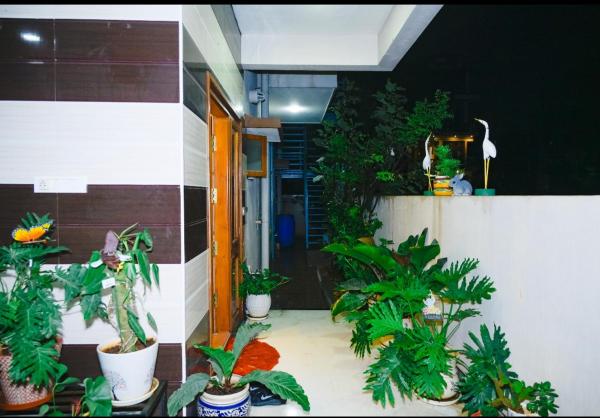 Serene - Bangalore