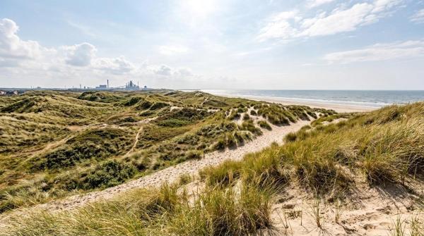 2p Semi-detached House - Fenced Shared Garden - 5 Min Walk To Wijk Aan Zee Beach - Beverwijk