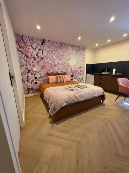 La Tête Dans Le Cerisier - Cv Châlons - Wi-fi - Châlons-en-Champagne