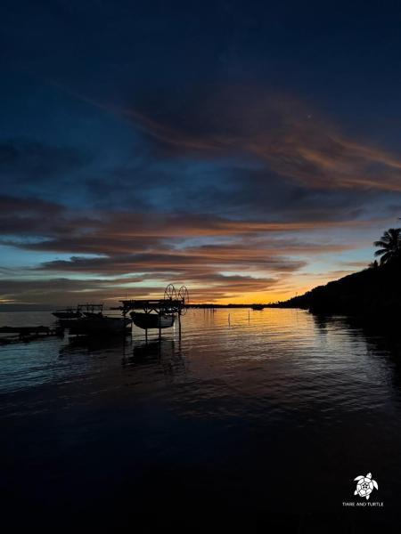 Tiare And Turtle - Bora-Bora