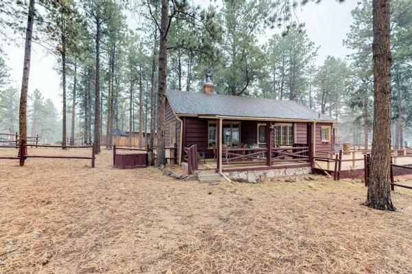 Big Bear Cabin - Woodland Park, CO