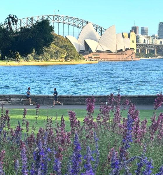 Sydney Harbourside Retreat On Iconic Finger Wharf - Randwick