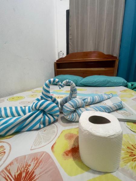 Jj's Place Moalboal - Badian