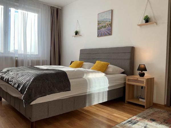 B&z Apartman A Pláza Mellett - Debreczyn