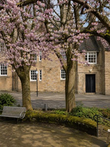 Luxury Old Town Apartment Just A 5 Minute Walk To Stirling Castle - Dunblane