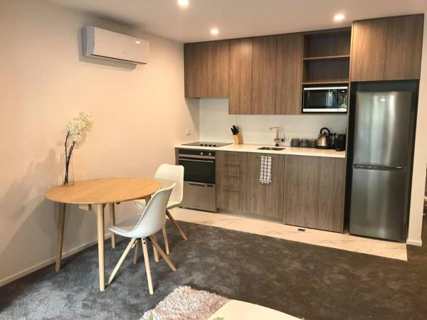 Central Apartment Stone Throw From Hospital - Christchurch