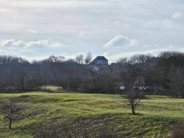 Hoge Blekker - Koksijde
