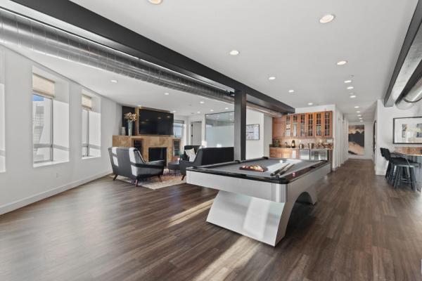 The Executive Stunning Downtown Loft Great Views - Park Hill - Denver