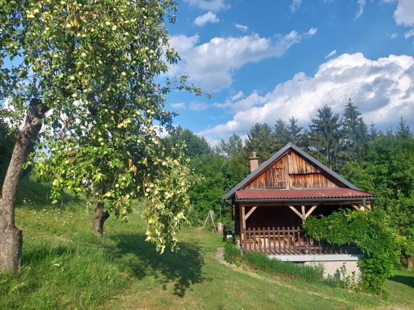 Hiška Ob Gozdu - Topolšica