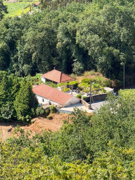 Monte Johannes - Paredes de Coura