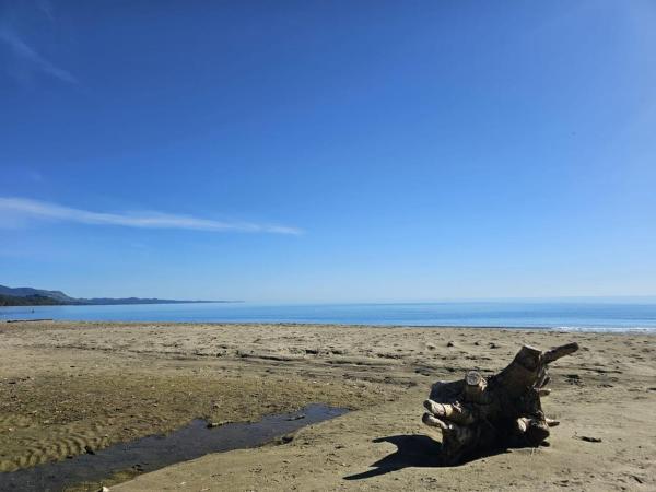 Beachfront Beauty - Tākaka