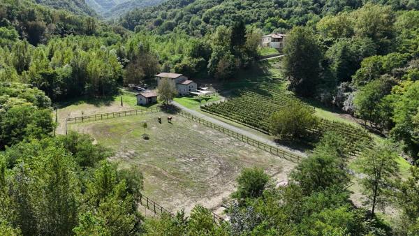 Agriturismo Ca' De Sass 1871 - Pontremoli
