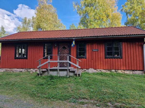 Norra Daltrop-skogslycka - Kopparberg