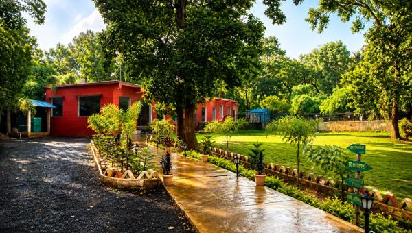Bandhavgarh Tiger Resort - Bandhavgarh National Park