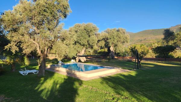 Los Olivos Centenarios - Lanjarón