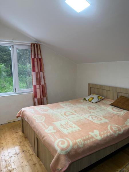 House In Gveso - ジョージア