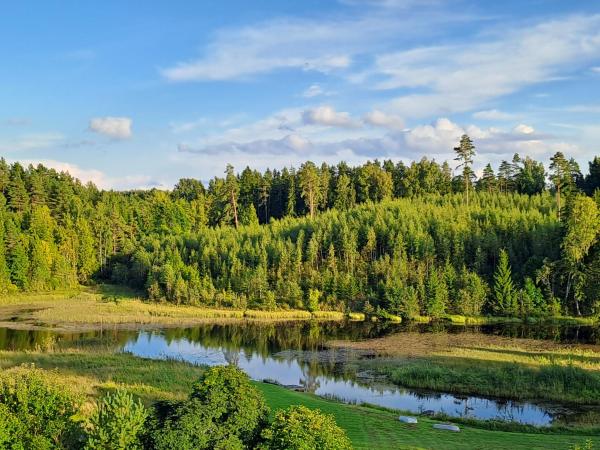 Tuule - Estonia