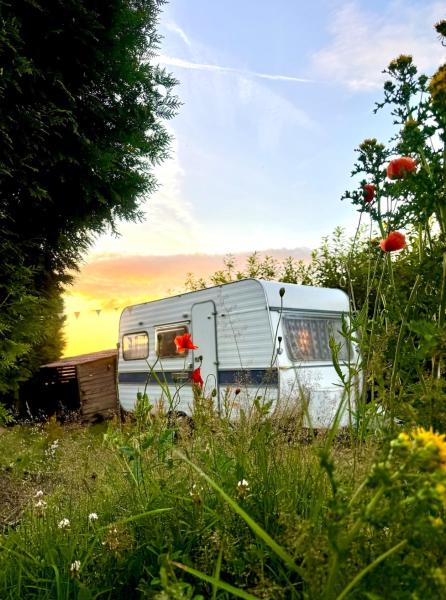 Adria's Hideaway - Retro Caravan Near The Chickens - Stadskanaal