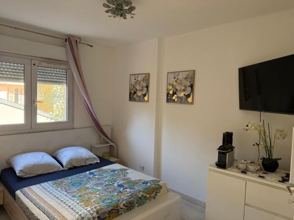A Beautiful Room In Nice - Beaulieu-sur-Mer