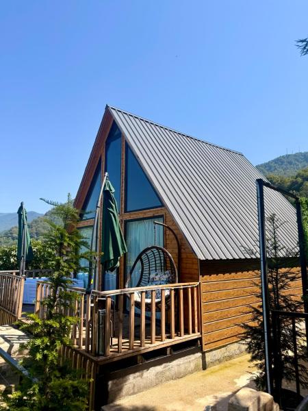Gndt Cabin With Mountain View & Hot Tub - Georgia
