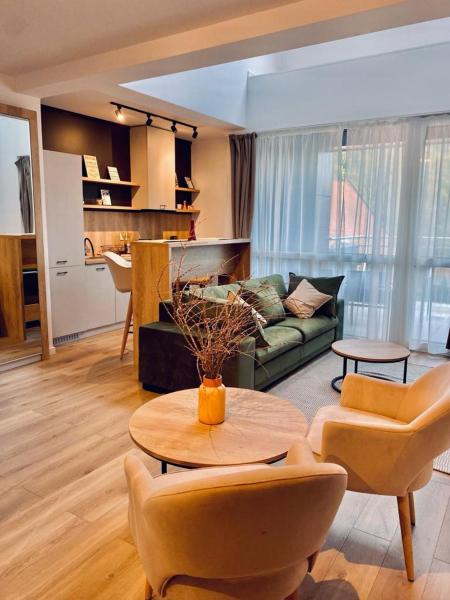 Nouria-penthouse - Sinaia