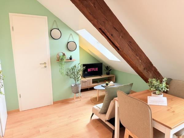 Appartement Confort - Parking - Tram - 10 Min Du Parlement - Schiltigheim