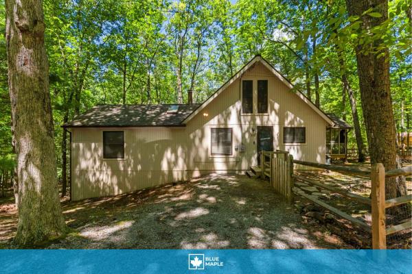 Pet-friendly With Treehouse Deck In The Woods Resort - West Virginia