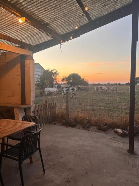 Camperhoeve Aan T Veld - Kortrijk
