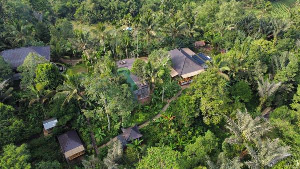 Jiwa Eco Escape - Munduk