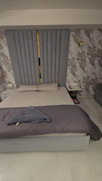 Silver Spot Studio3 Apartment - Jaipur