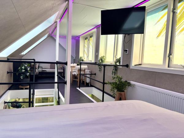 Gelukkig Aan Zee Wellnesshuisje - Egmond aan Zee
