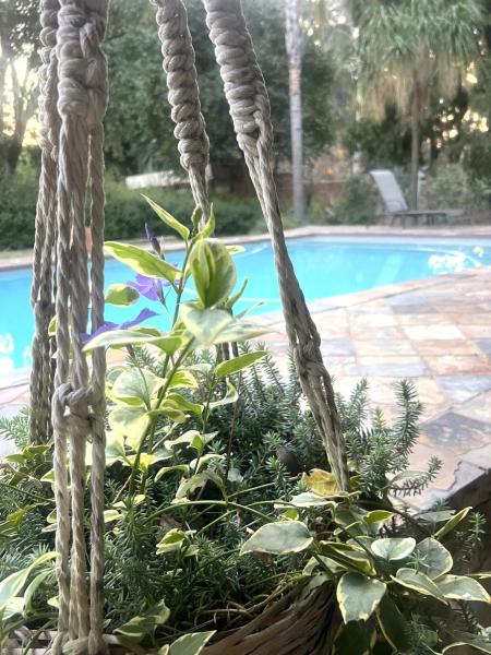 Six On Green - Edenvale