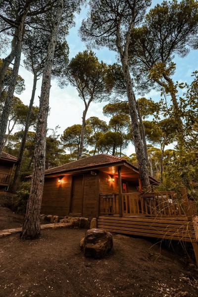 La Maison De La Forêt - Lebanon
