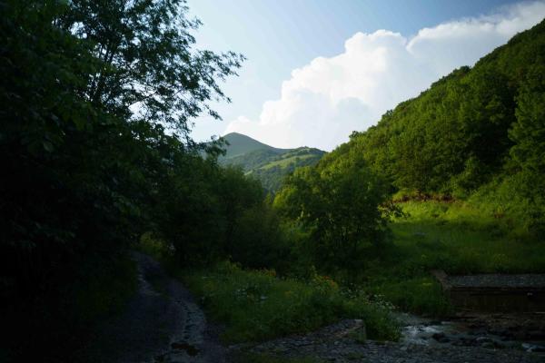 Anima Resort Aghveran - Forest Retreat - Armenia