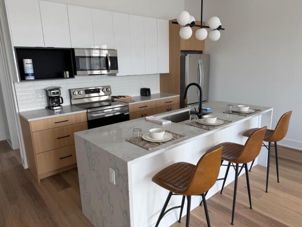 Spacious 2br Apartment Steps From Uic Rush Stroger Hospital And Restaurant Row - Chicago