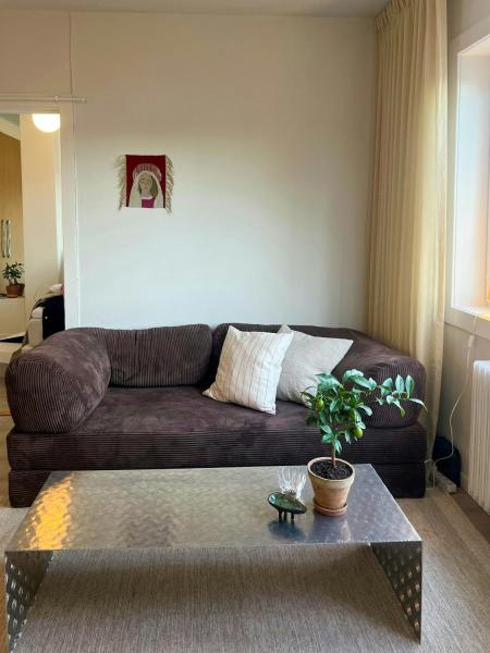Top-floor Flat With Views Over Oslo And Ostmarka - Oslo