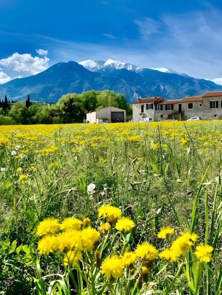 Gite Le Canigou 3 éToiles - Prades, France