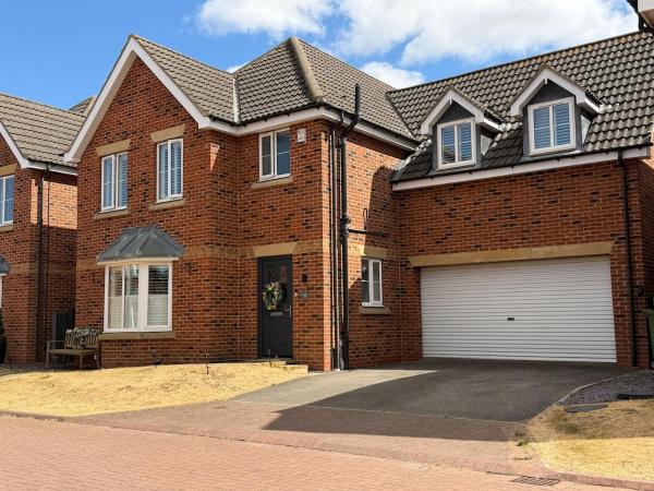 Daisy House - Kingston upon Hull