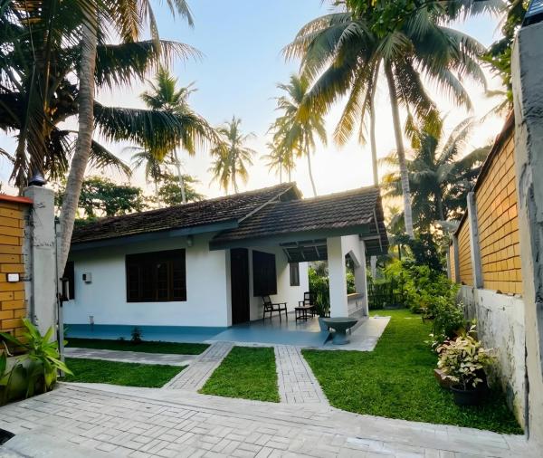 Windy Oasis - Sri Lanka