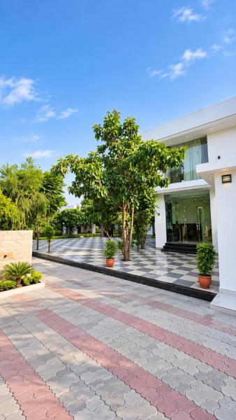Golden Farm - Punjab