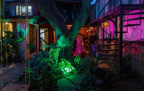 Casa Del ÁRbol Xochimilco - Oaxaca