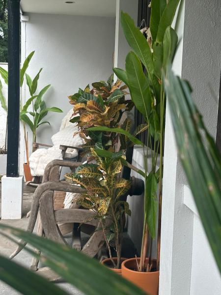 Nimman 5mins An Pool Villa Daily Cleaning - Chiang Mai